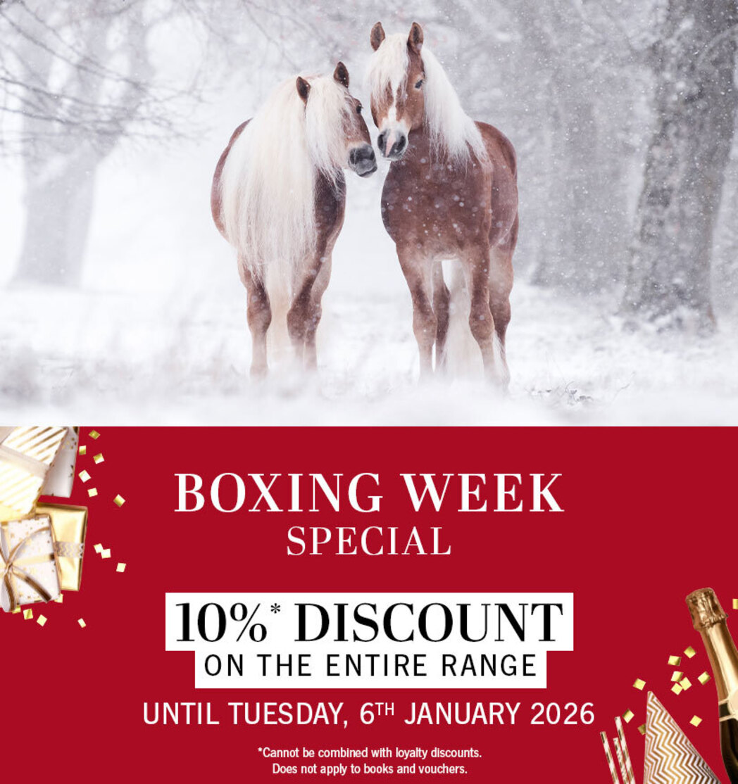 Kramer Equestrian | Riding Accessories and Equestrian Products