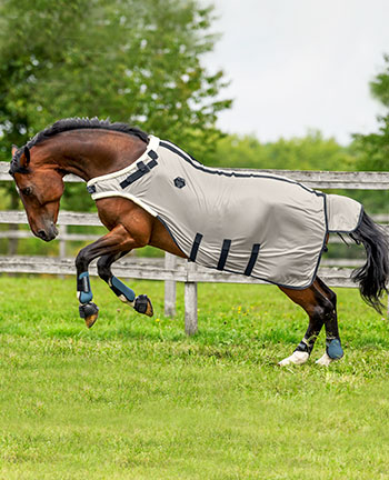 Walker & Outdoor Exercise Rugs - Horse - Kramer Equestrian