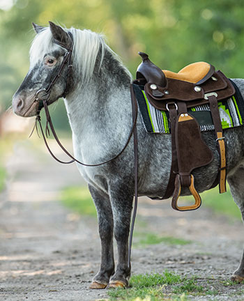 Western Riding - Themes - Kramer Equestrian