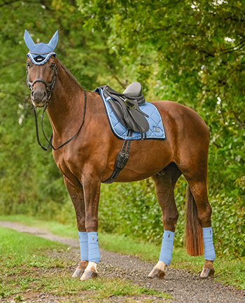 NEW - NEW - Kramer Equestrian