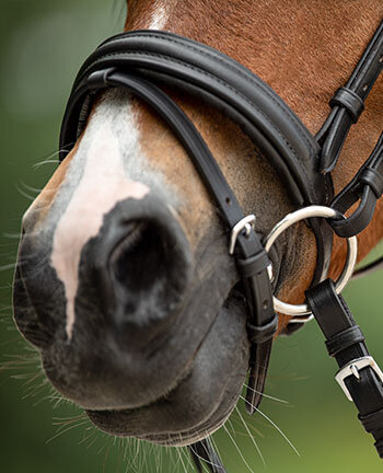 Buy Pony Bridles & Pony Accessories online | kramer.co.uk