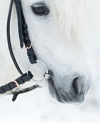 Horse Bits - Horse - Kramer Equestrian