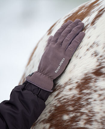 Everything for Western riders & Western horses at | kramer.co.uk