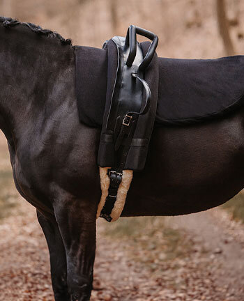 Buy Vaulting accessories online | kramer.co.uk