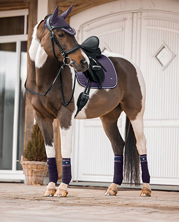 Buy Horse Accessories for Equestrian Sports online | Kramer.co.uk