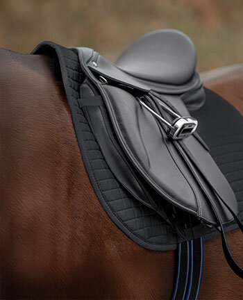 Buy Jumping Saddles, Dressage Saddles and Trekking Saddles | kramer.co.uk