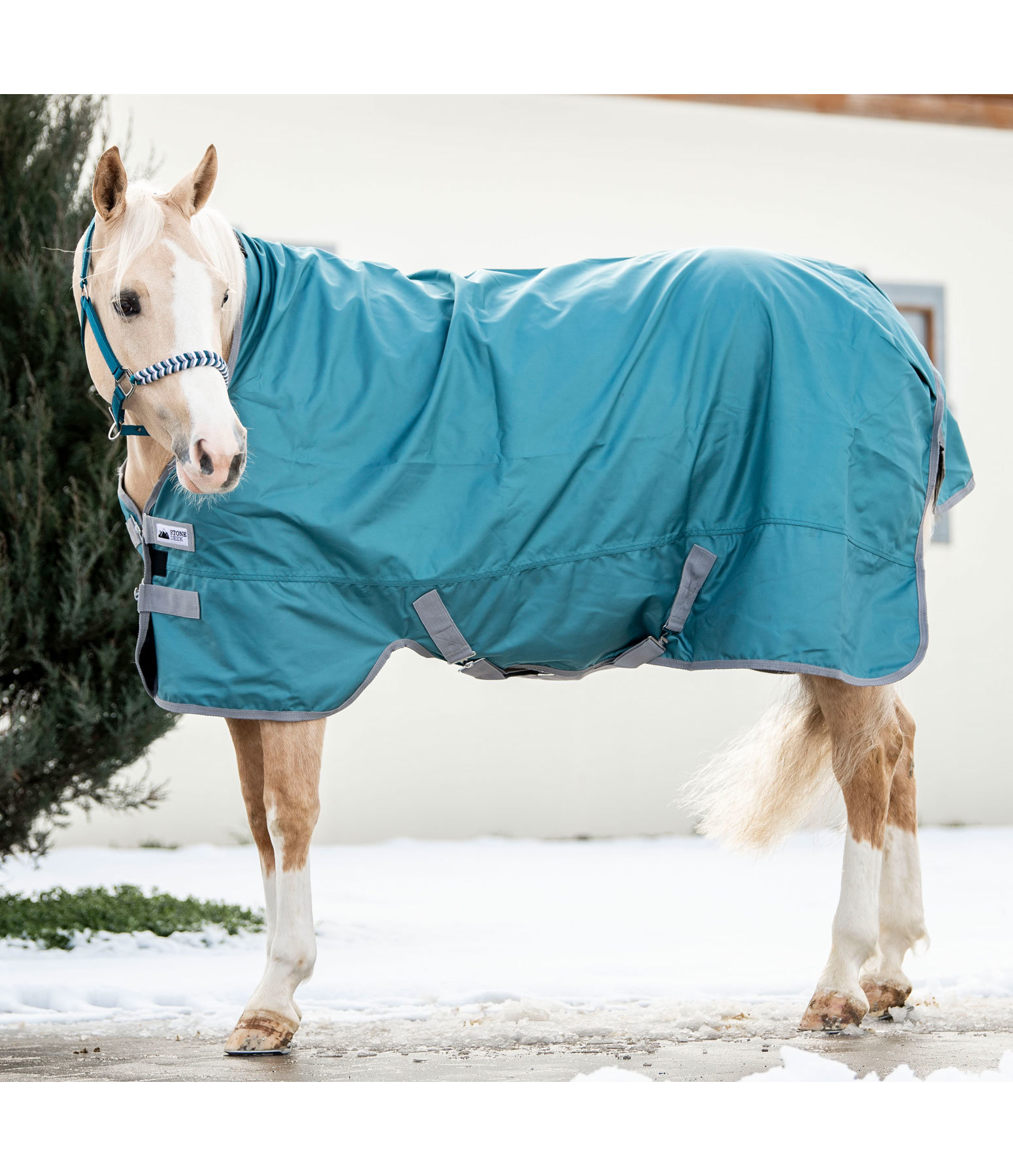 Lightweight Turnout Rug Forrest - Kramer Equestrian