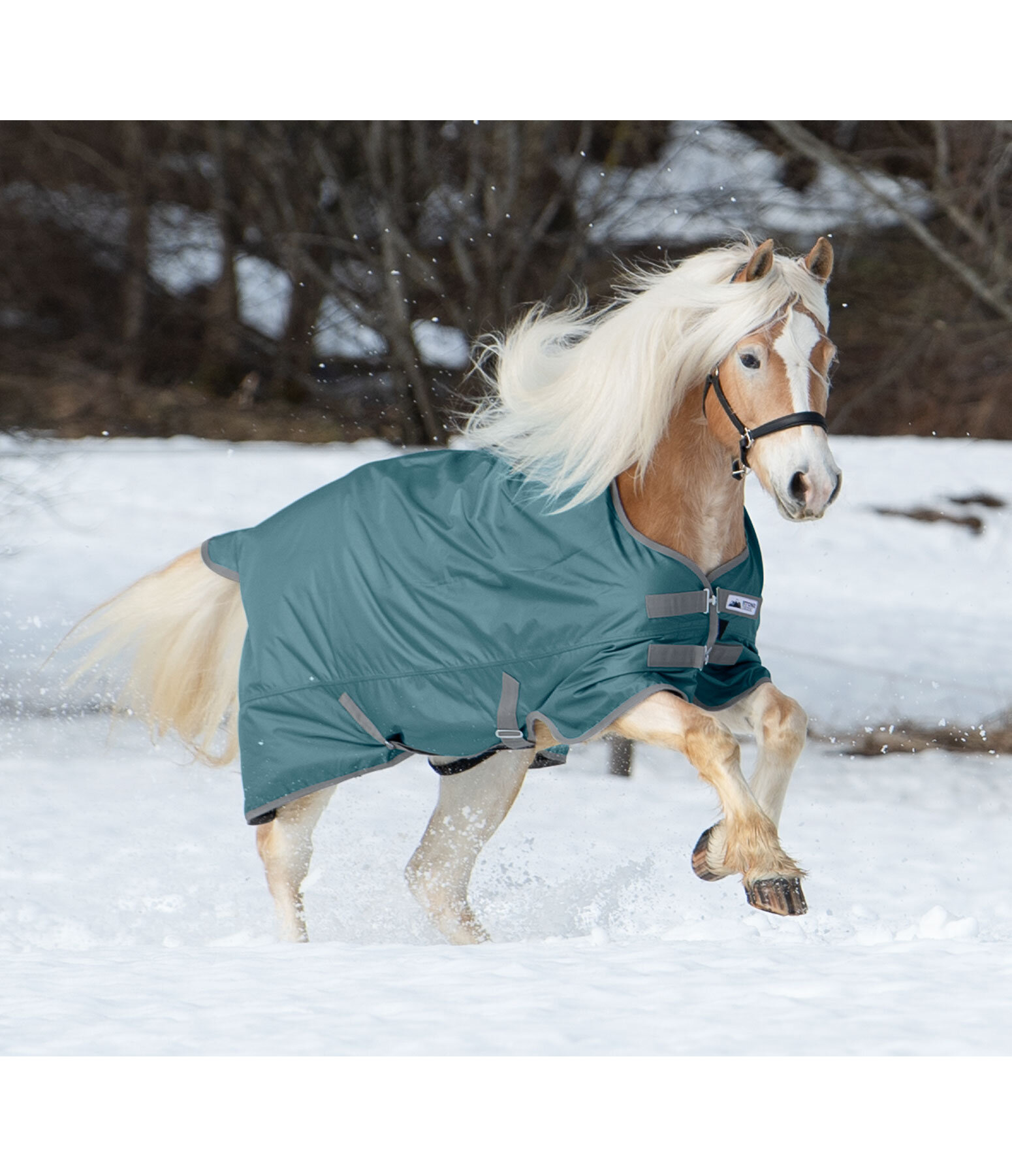 Lightweight Turnout Rug Forrest - Kramer Equestrian