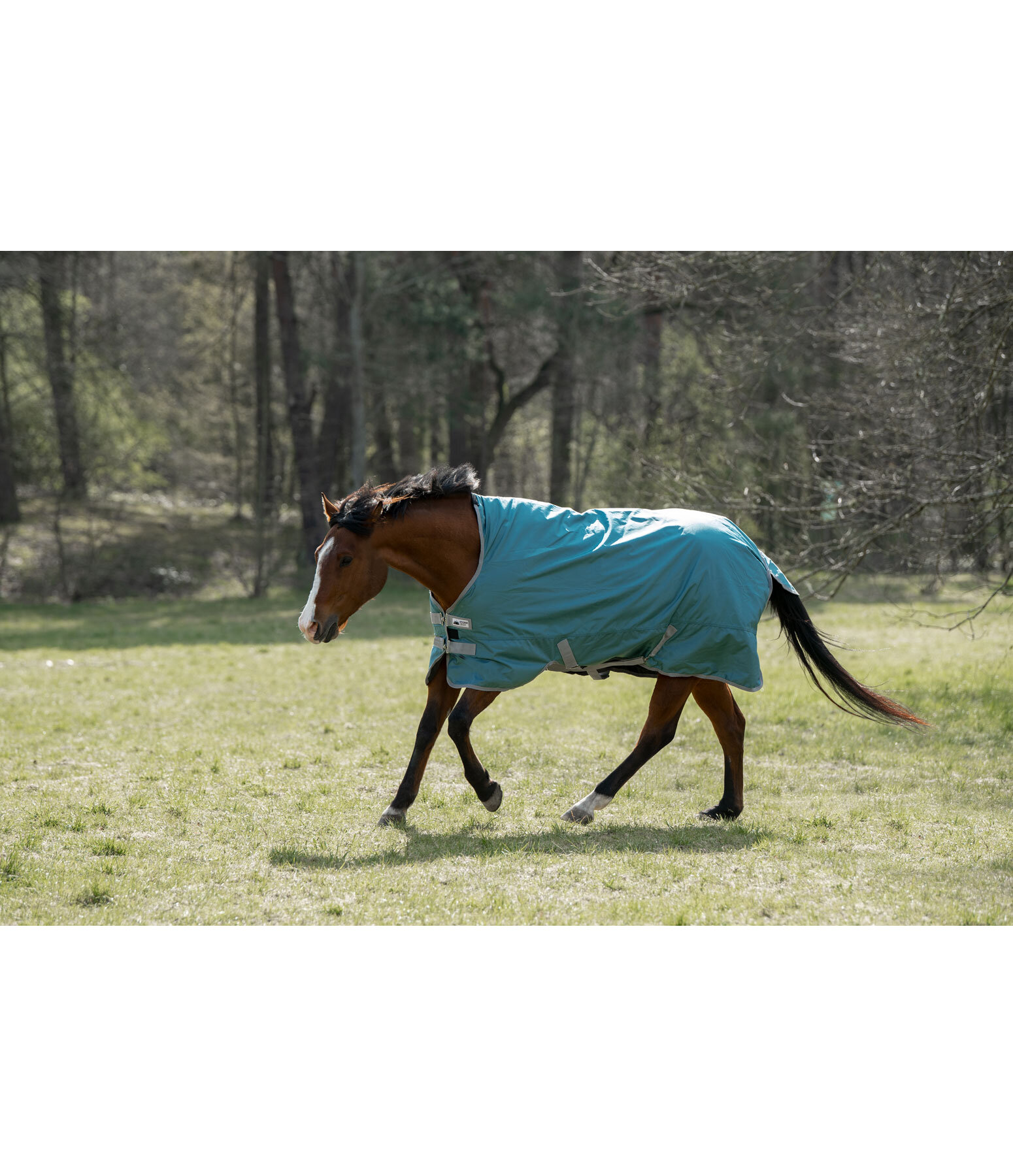 Lightweight Turnout Rug Forrest - Kramer Equestrian