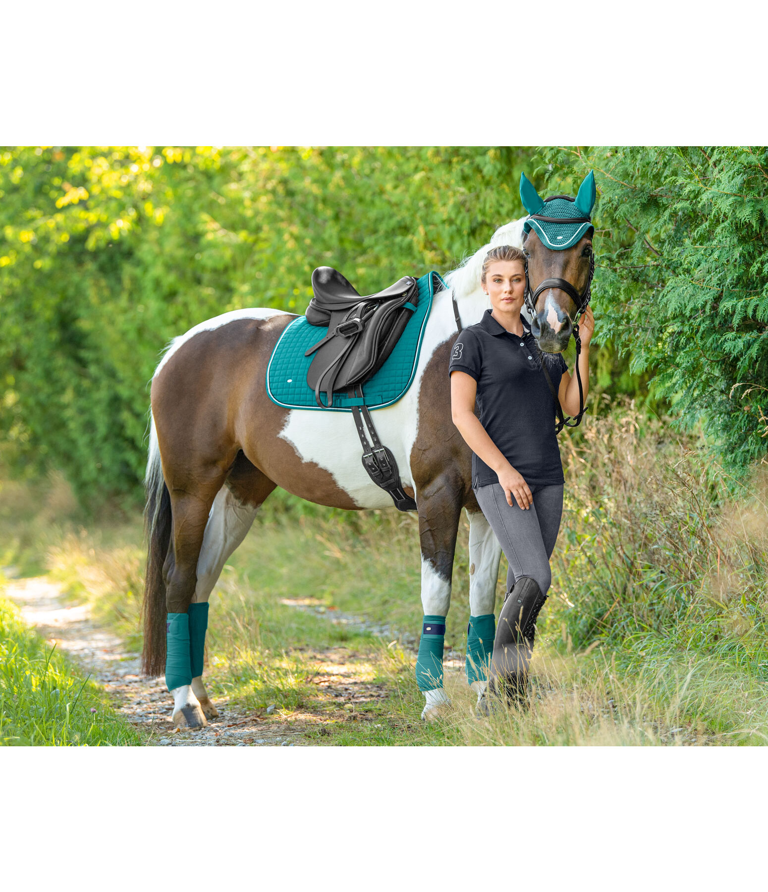 Saddle Pad Basic - SHOWMASTER Basic - Kramer Equestrian