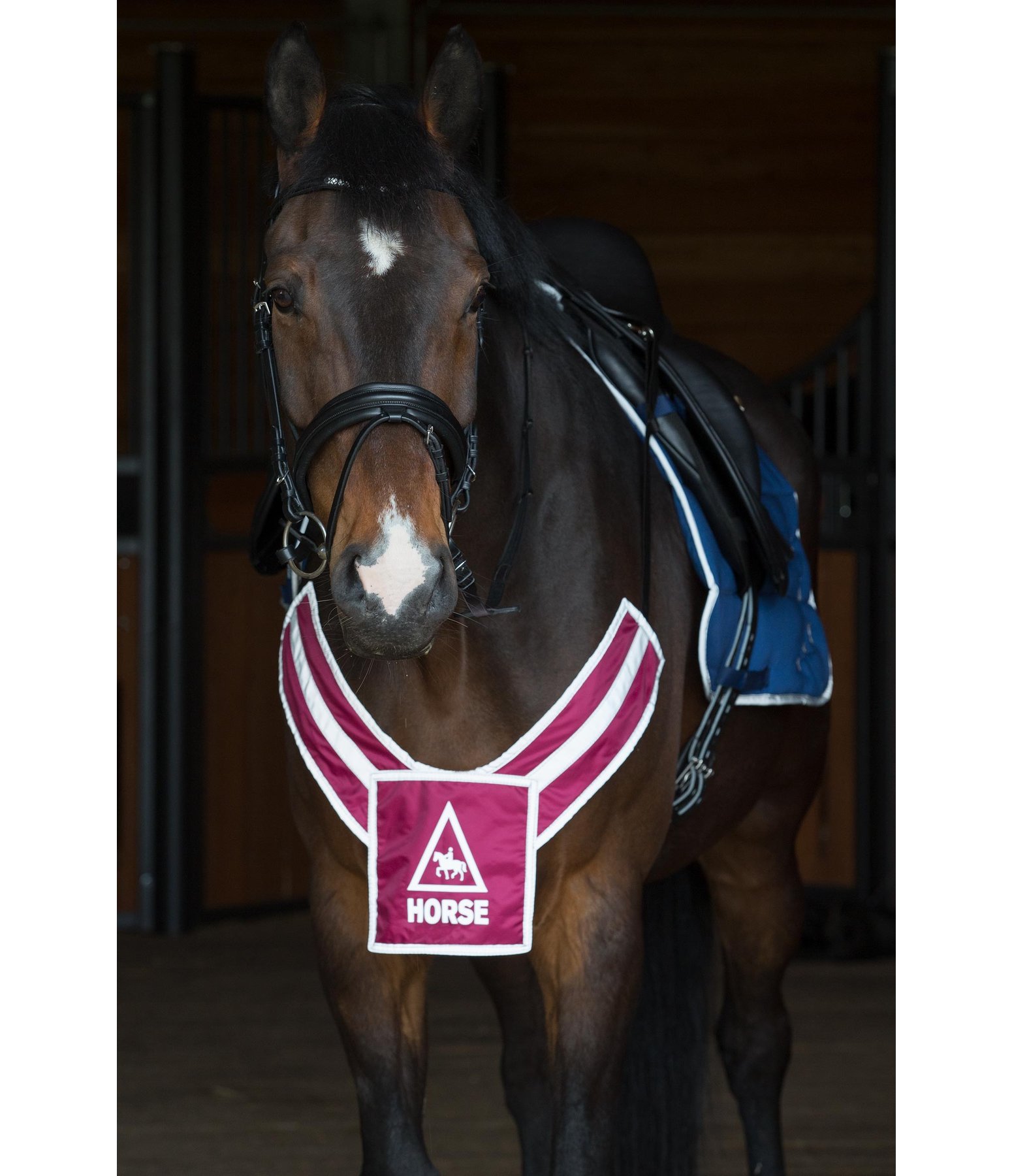 Hi-Vis Breastplate - Reflective Wear Horse - Kramer Equestrian