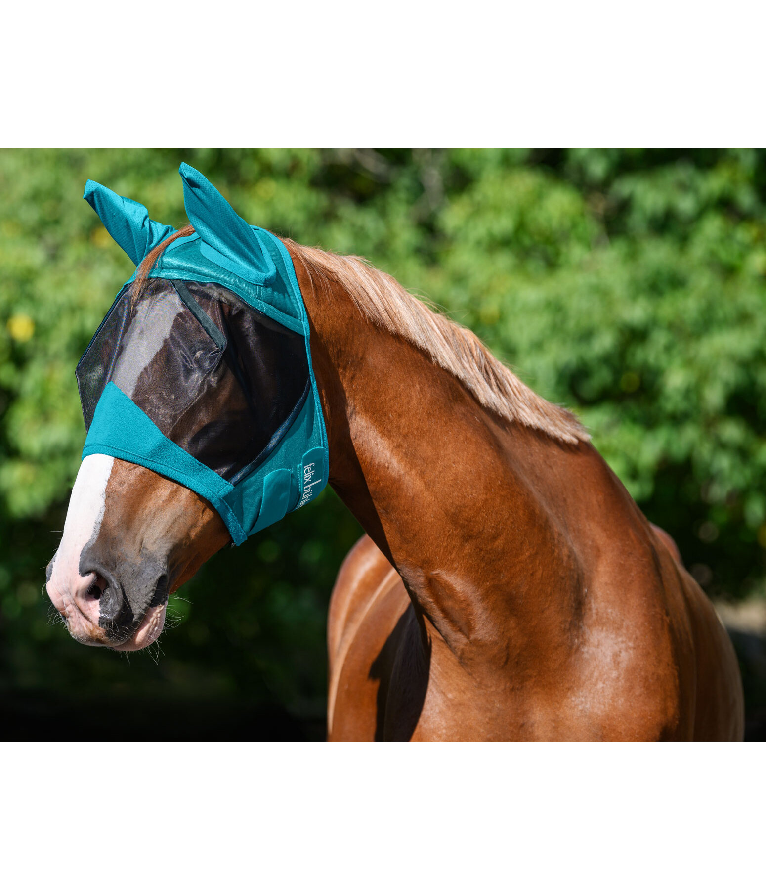 Fly Mask Basic - Fly Masks & Fringes - Kramer Equestrian