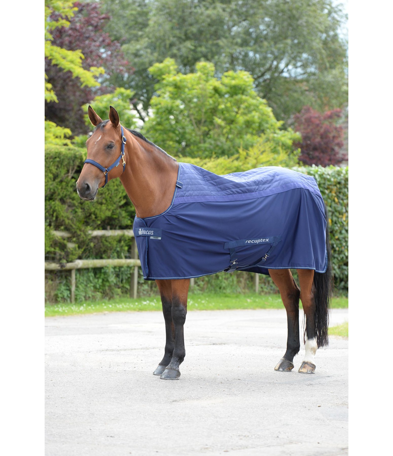 Stable Rug Recuptex - Stable Rugs - Kramer Equestrian