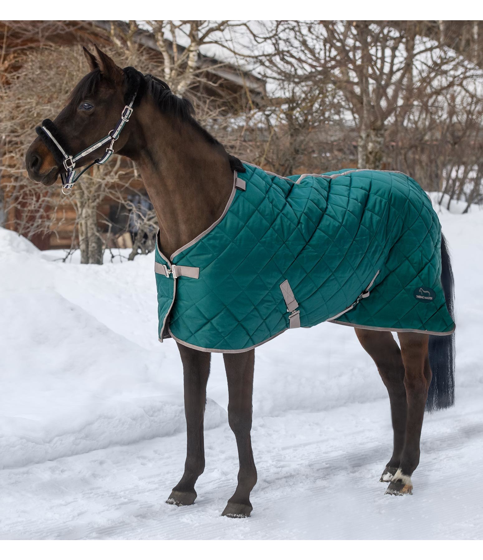 Stable Rug Aki II 200 g - Stable Rugs - Kramer Equestrian