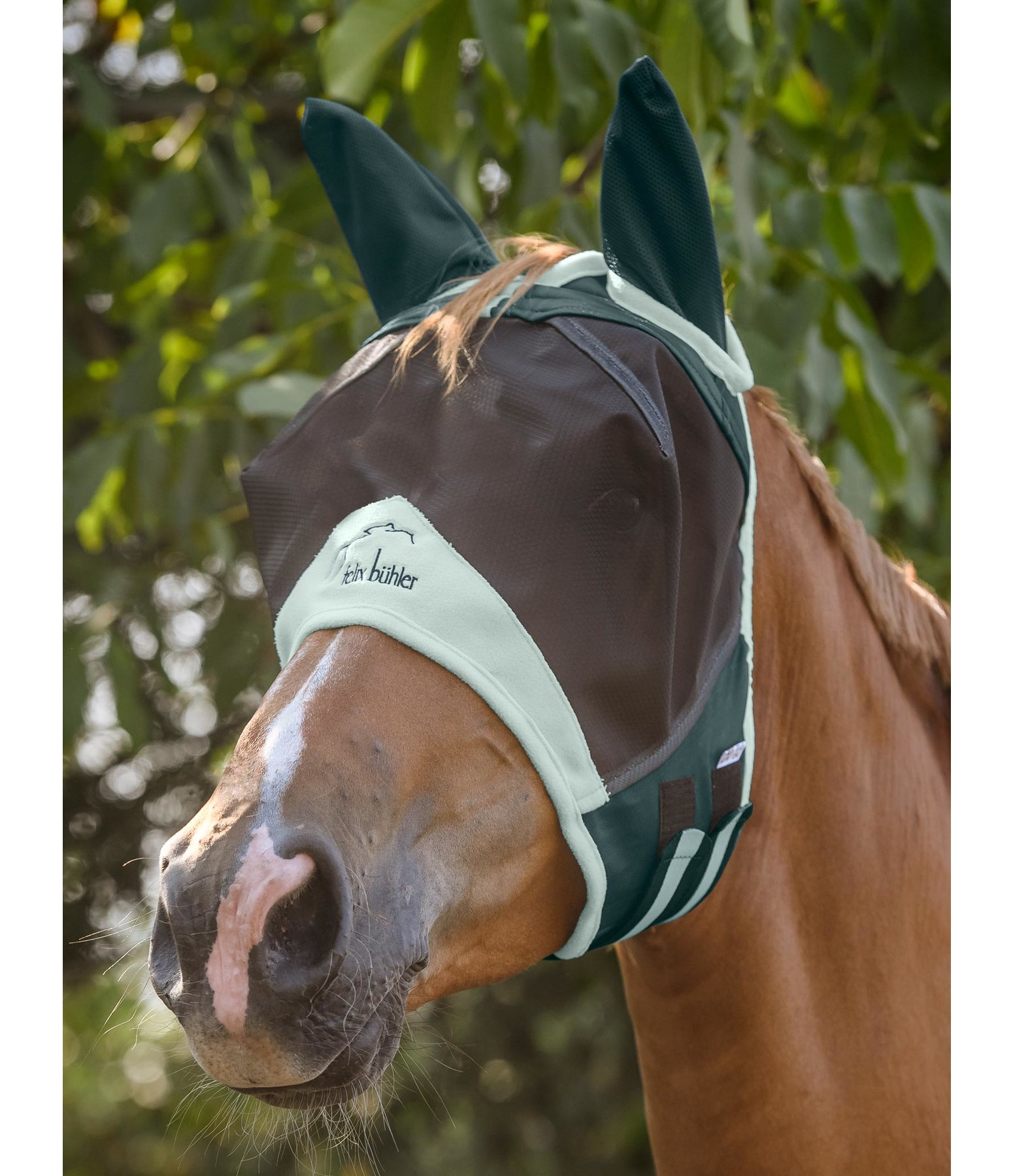 Fly Mask Basic Pro - Fly Masks & Fringes - Kramer Equestrian