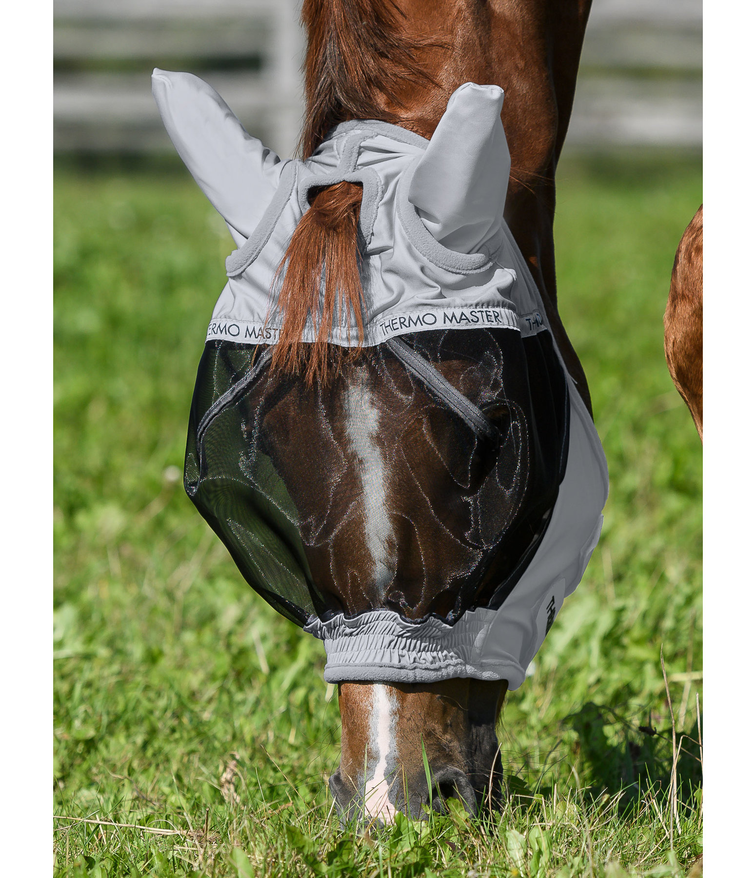 Fly Mask Elastic Fit - Fly Masks & Fringes - Kramer Equestrian