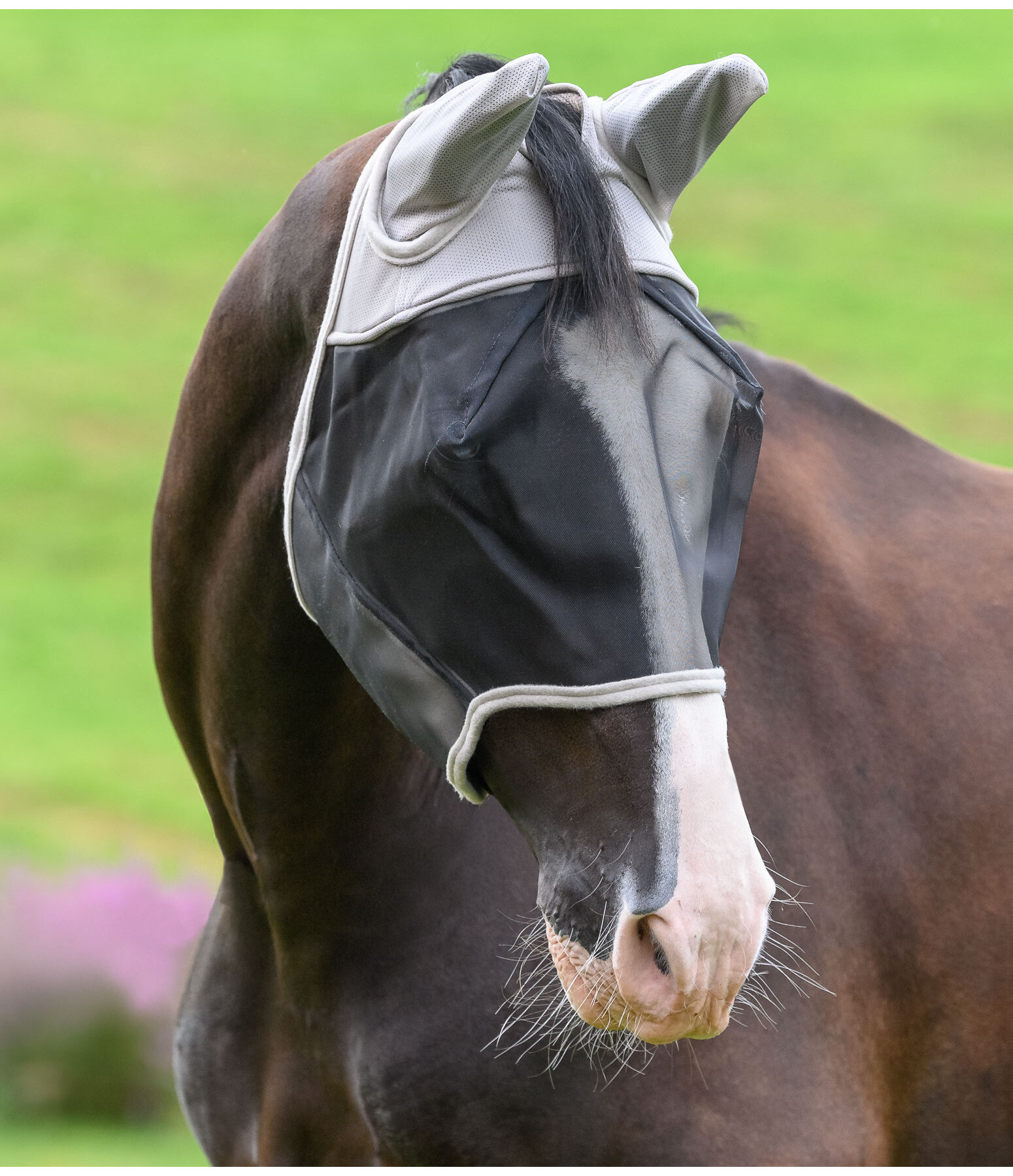 Fly Mask Eco - Fly Masks & Fringes - Kramer Equestrian