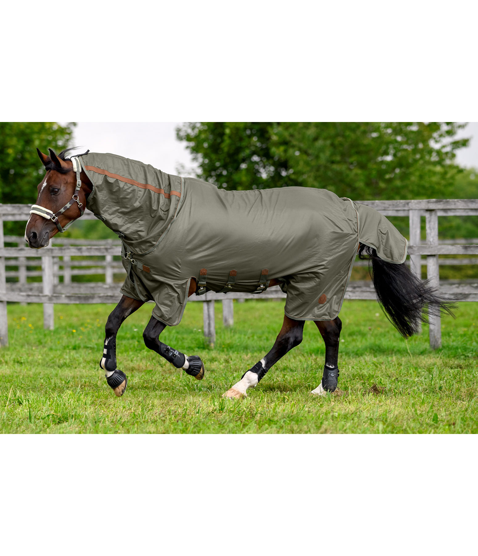 Full Neck Fly Rug Timeless Elegance with Detachable Neck Piece