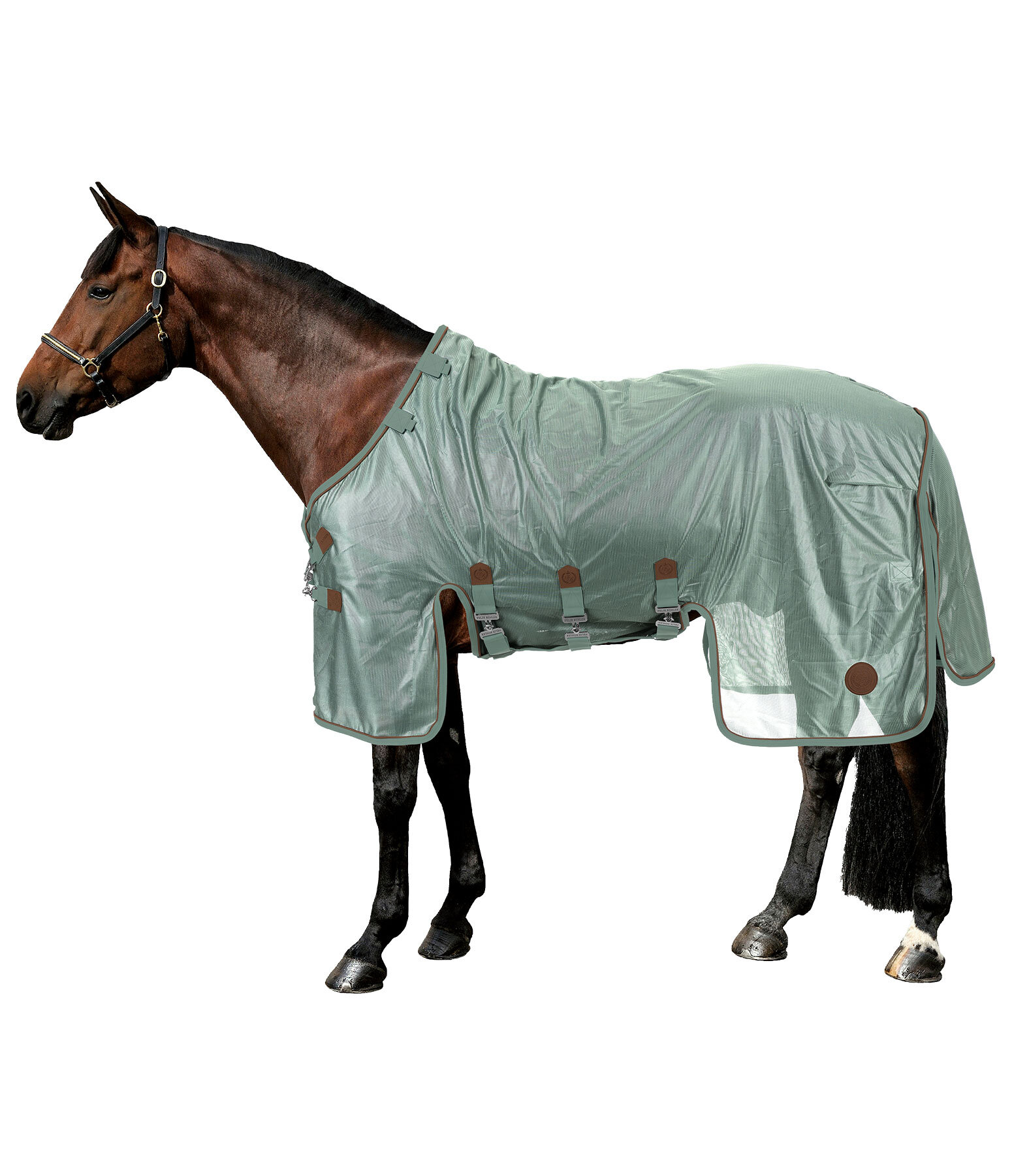 Full Neck Fly Rug Timeless Elegance with Detachable Neck Piece