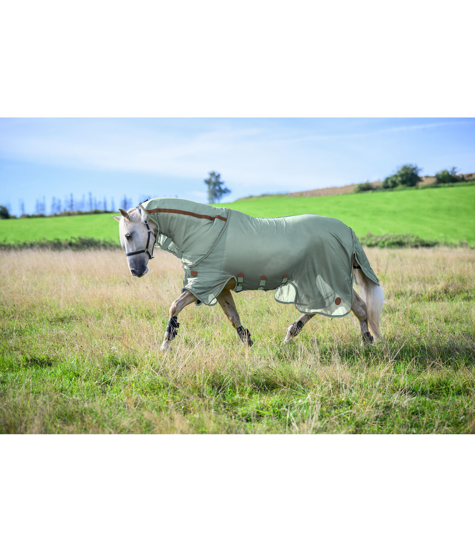 Full Neck Fly Rug Timeless Elegance with Detachable Neck Piece