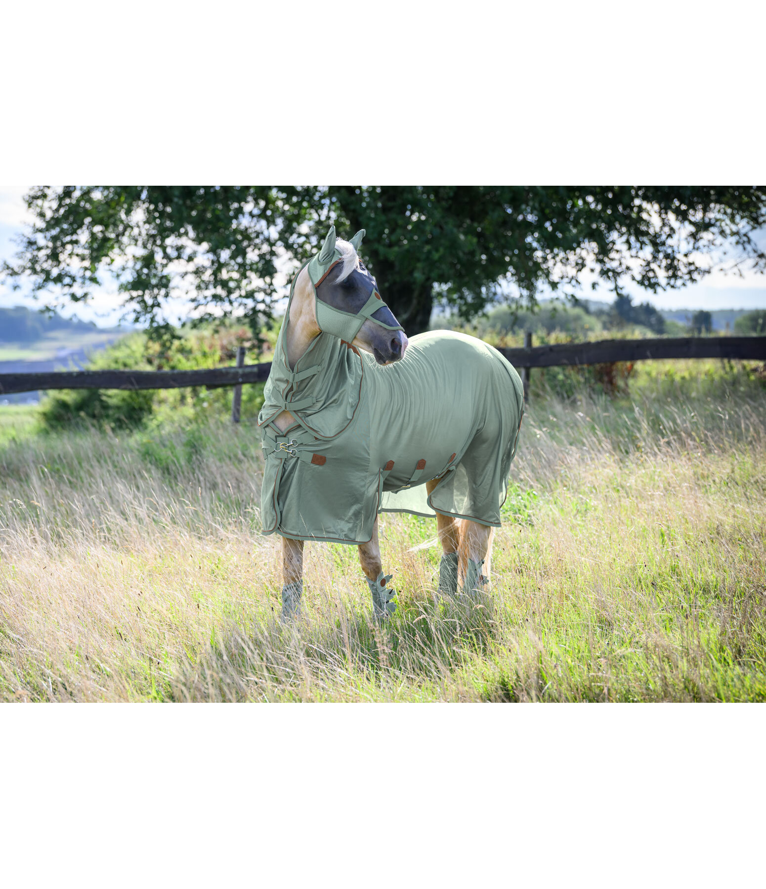 Full Neck Fly Rug Timeless Elegance with Detachable Neck Piece