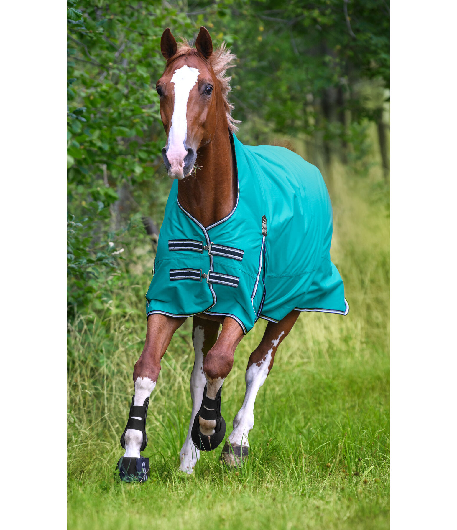 High Neck Turnout Rug Kalina II, 0g - Kramer Equestrian