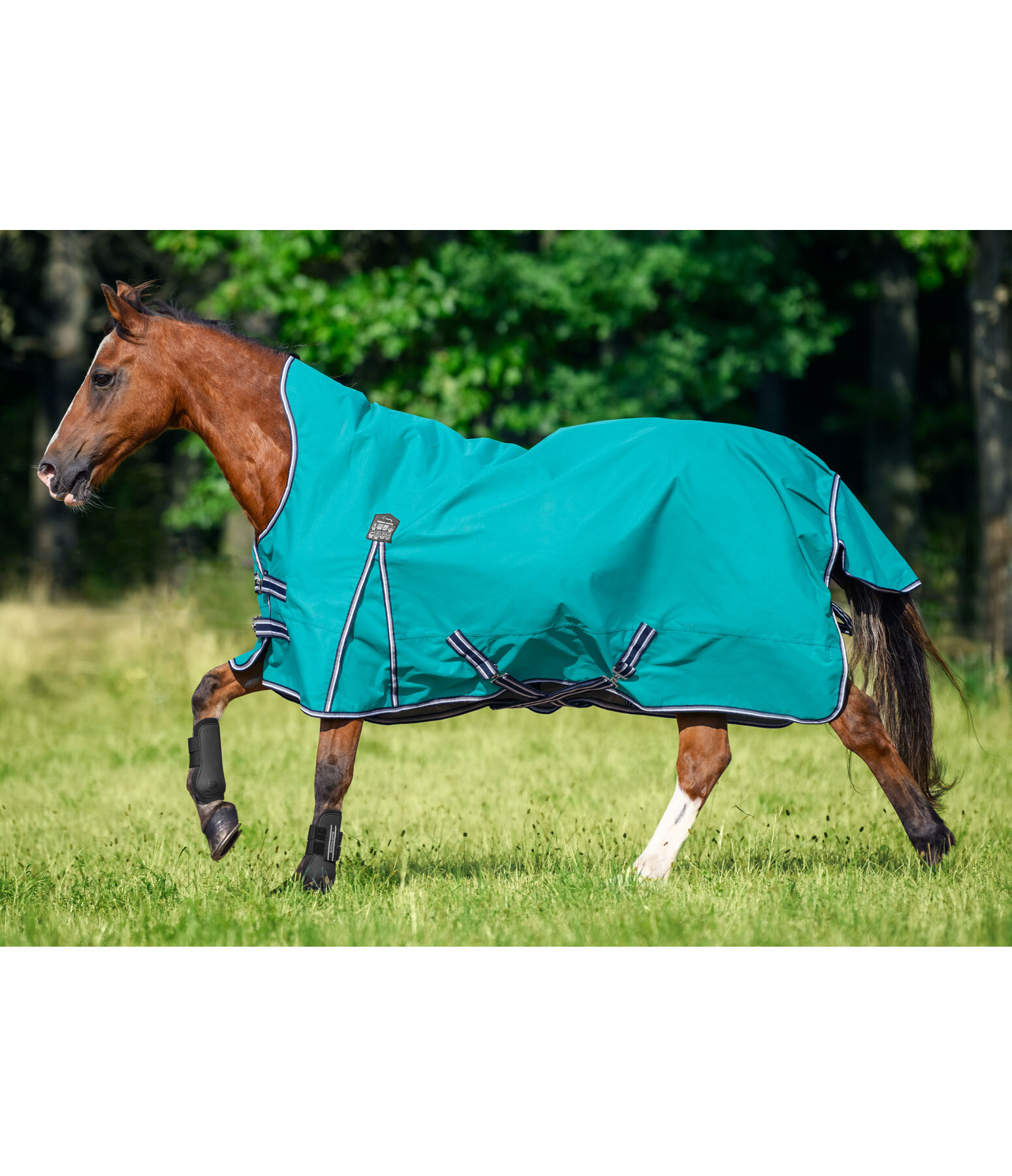 High Neck Turnout Rug Kalina II, 0g - Kramer Equestrian