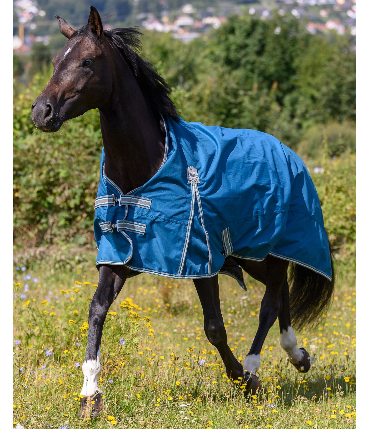 High Neck Turnout Rug Kalina II, 0g - Kramer Equestrian