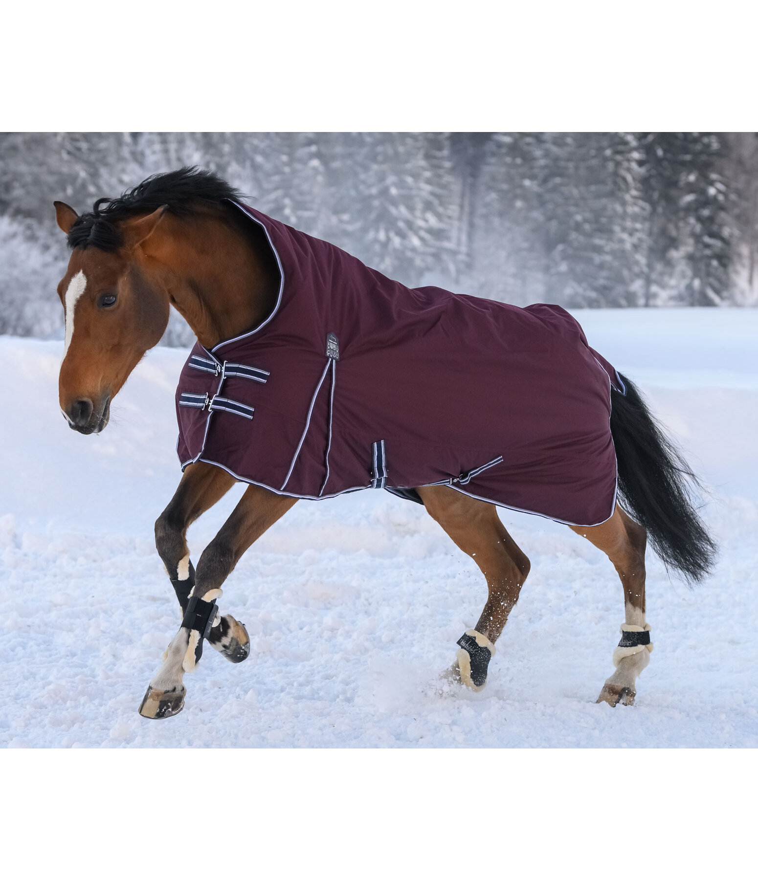 High Neck Turnout Rug Kalina II, 100g - Kramer Equestrian