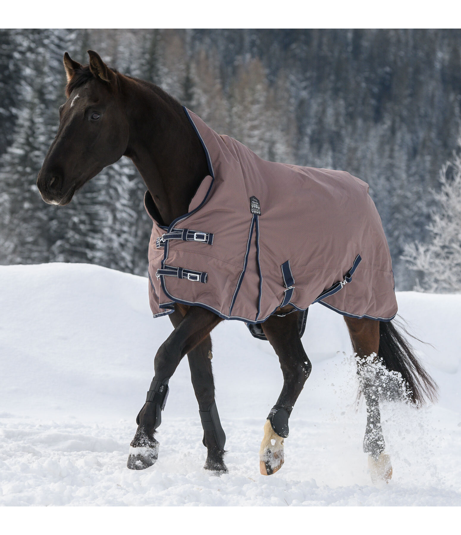 High Neck Turnout Rug Jesco II With Fleece Lining, 0g