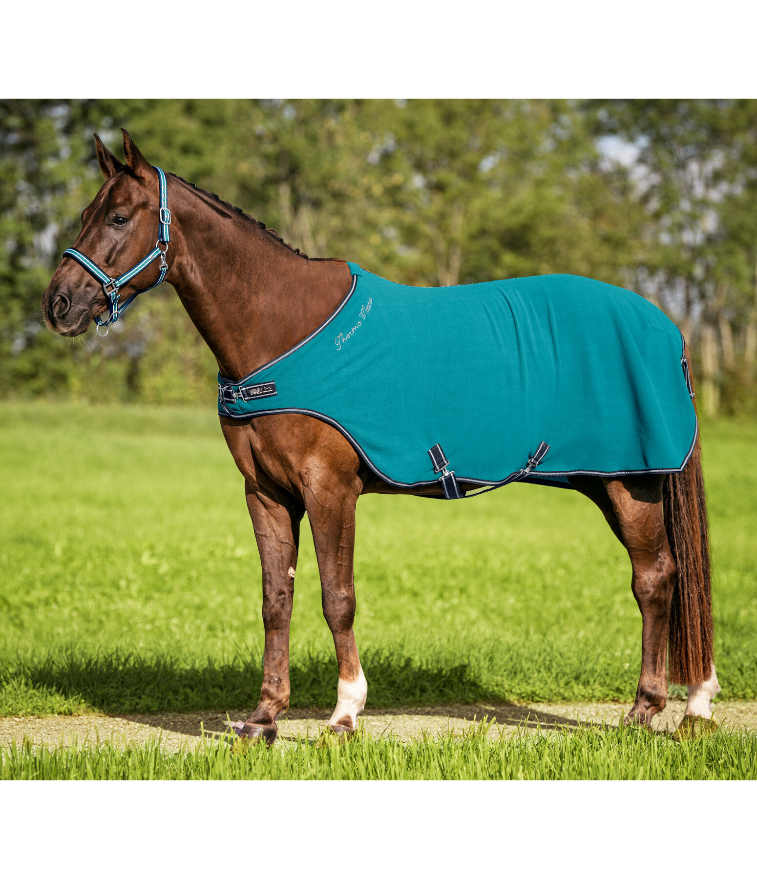 Fleece Walker Rug Activity - Walker & Leading Rugs - Kramer Equestrian