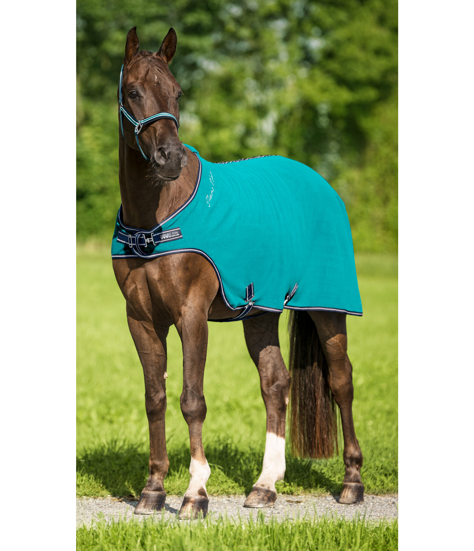 Fleece Walker Rug Activity - Walker & Leading Rugs - Kramer Equestrian