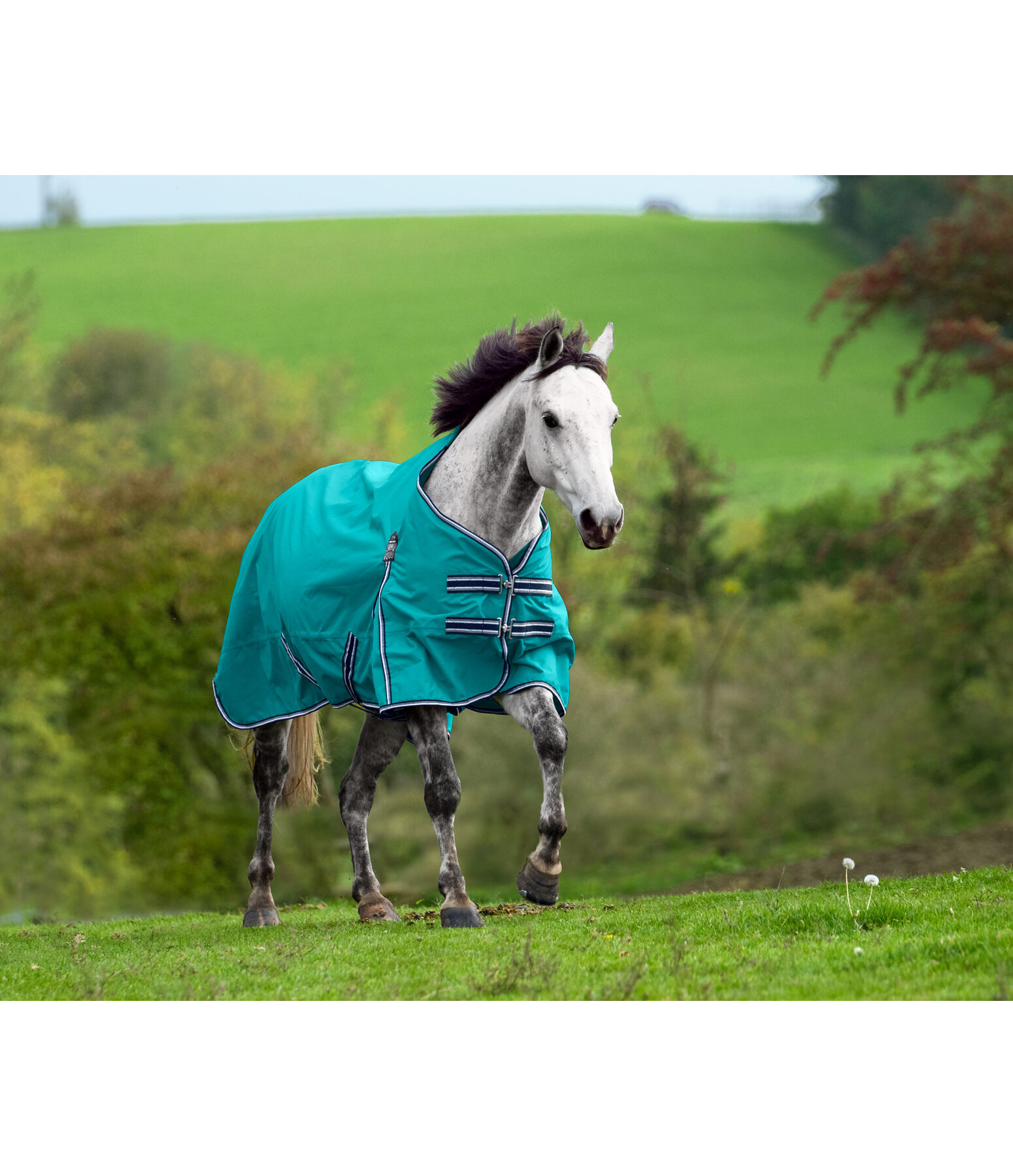 Turnout Rug Kadir IV, 50g - Horse Rugs - Kramer Equestrian