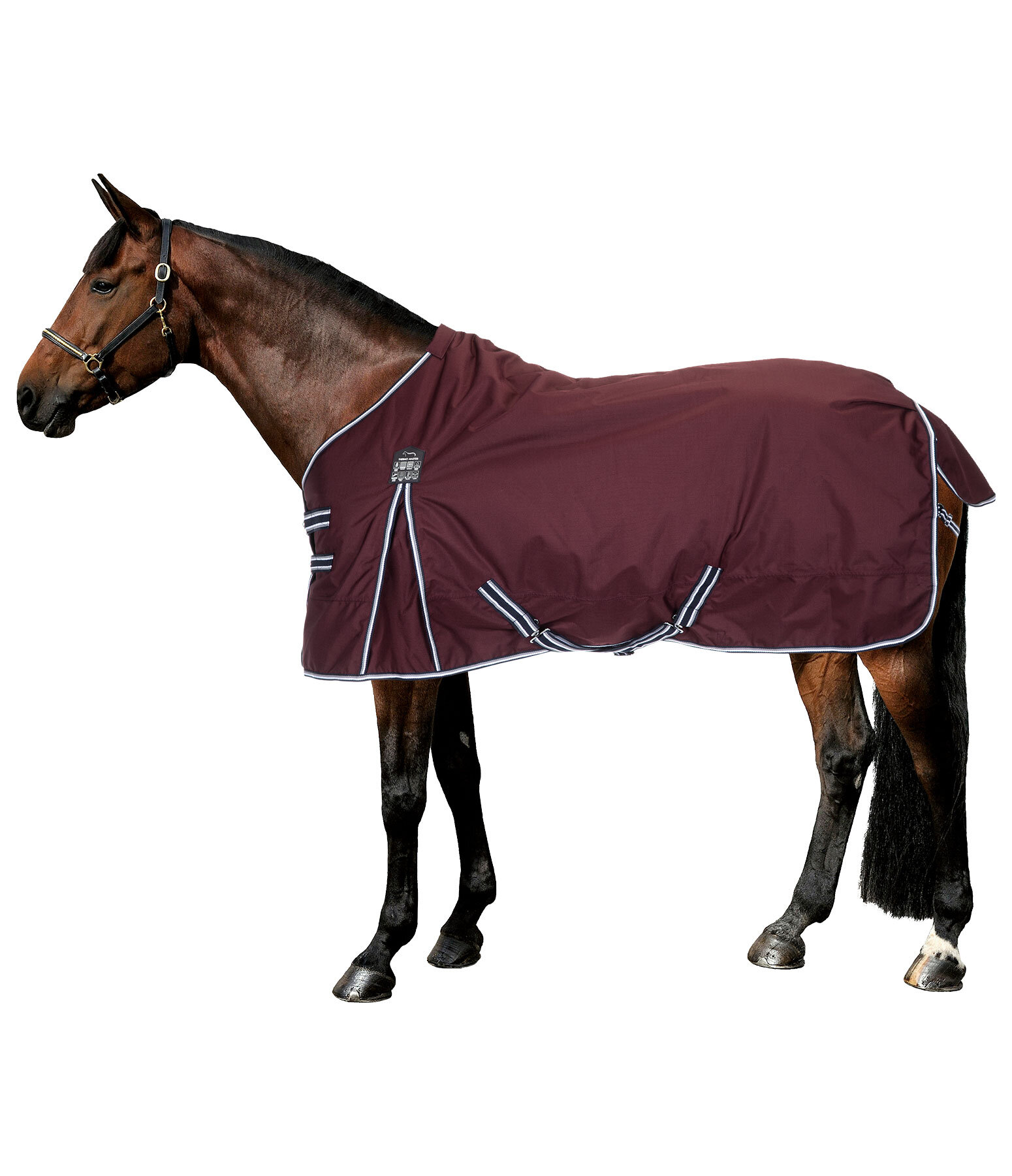 Turnout Rug Kadir IV, 50g - Horse Rugs - Kramer Equestrian