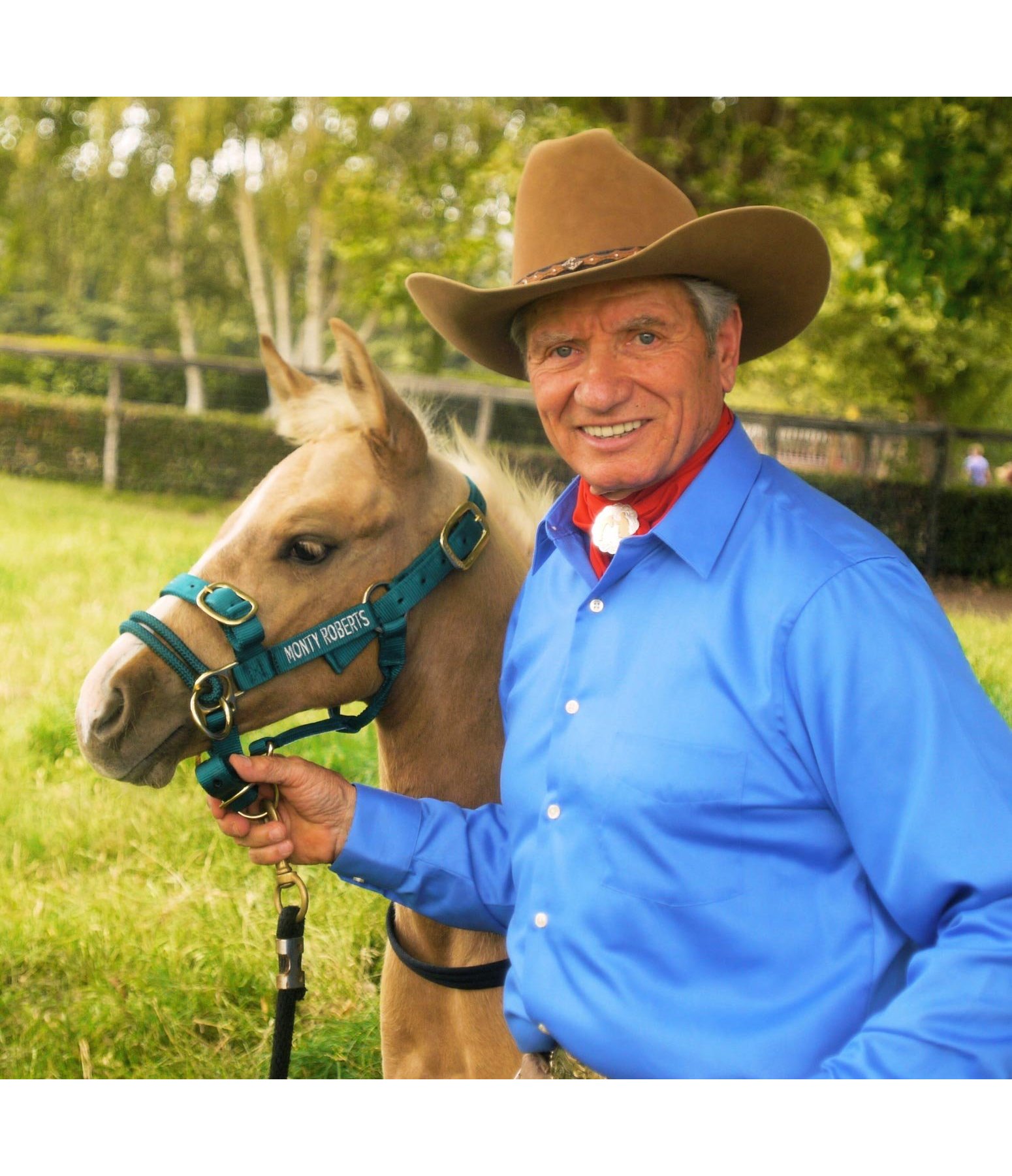 Dually Halter - Training Headcollars - Kramer Equestrian