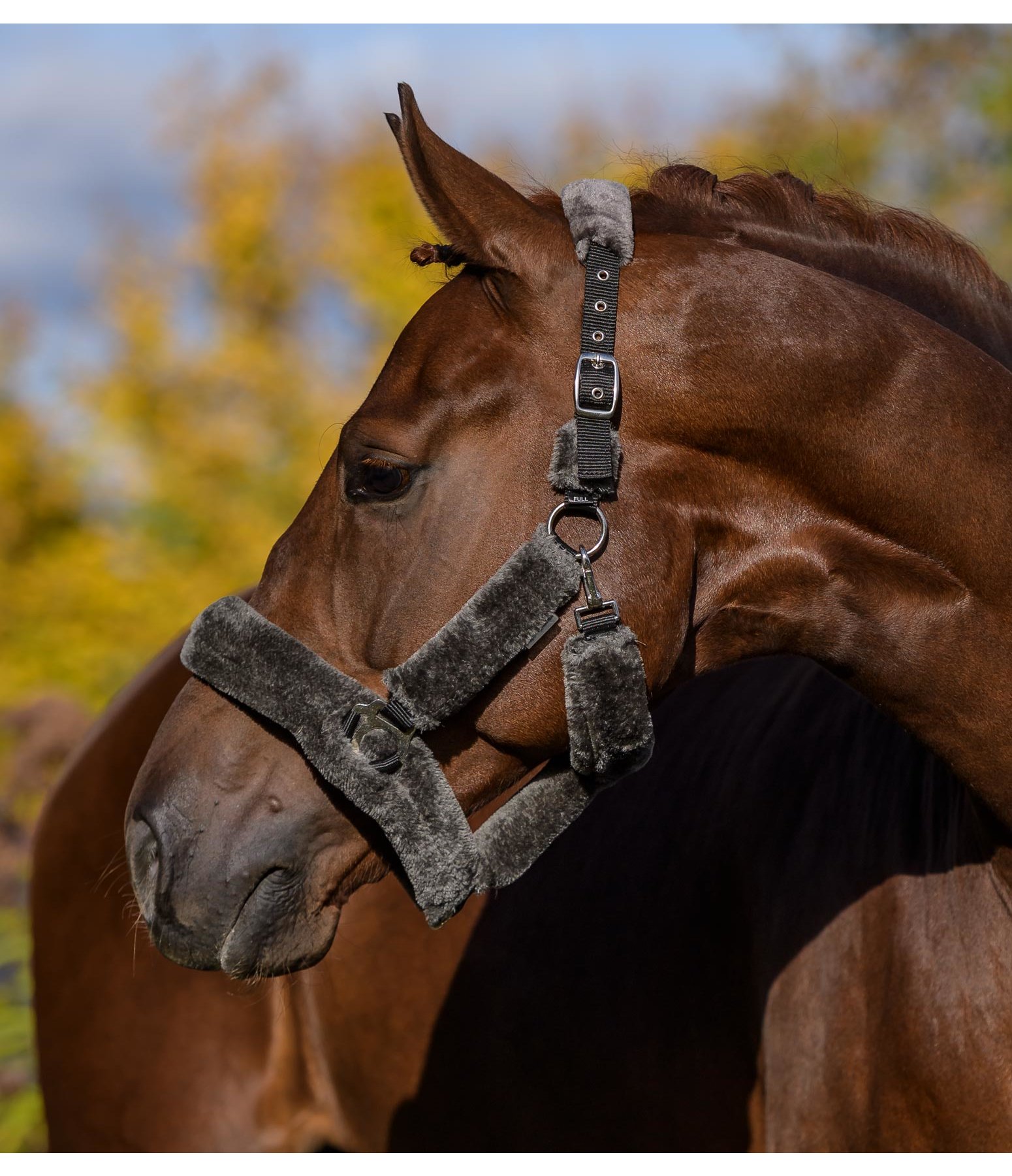 Teddy Fleece Headcollar Protection - Kramer Equestrian