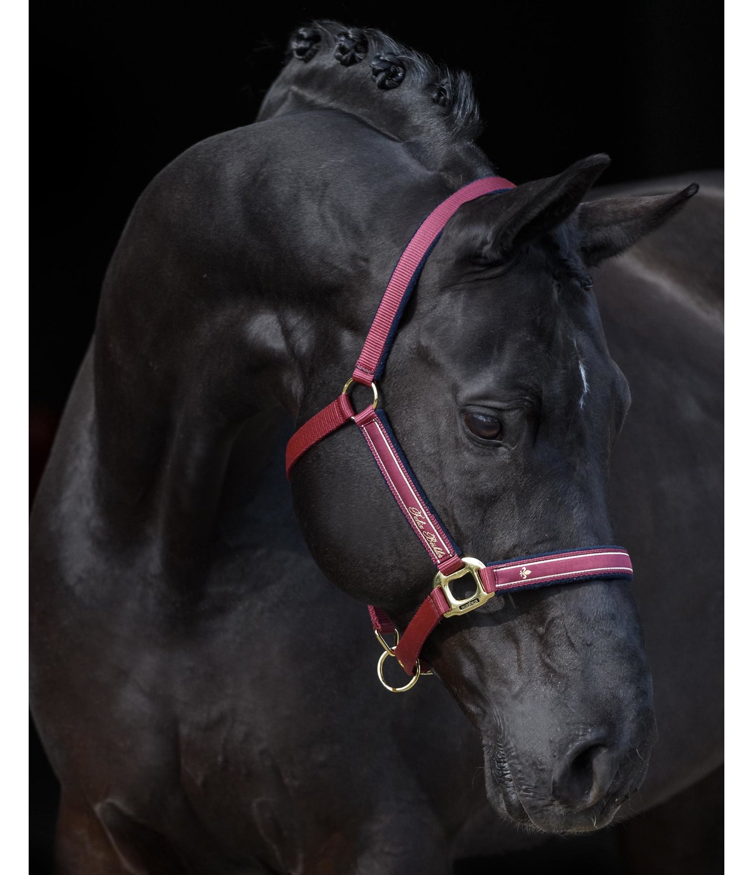 Headcollar Glamorous - Headcollars & Lead Ropes - Kramer Equestrian