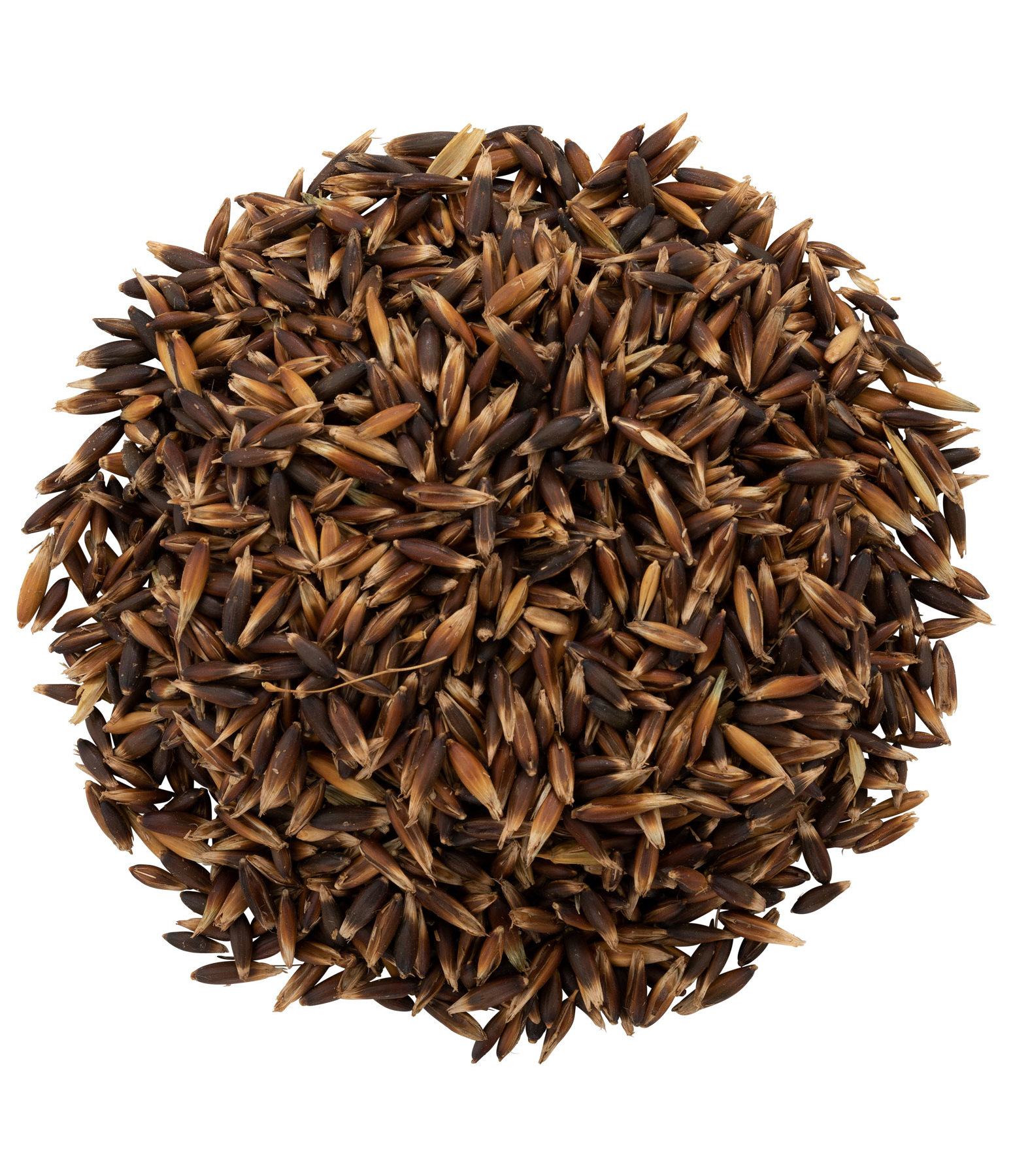 Black Oats - Hard Feed & Forage - Kramer Equestrian