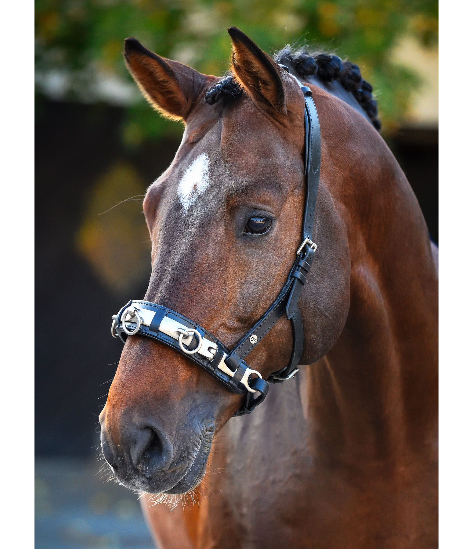 Cavesson Professional - Cavessons - Kramer Equestrian