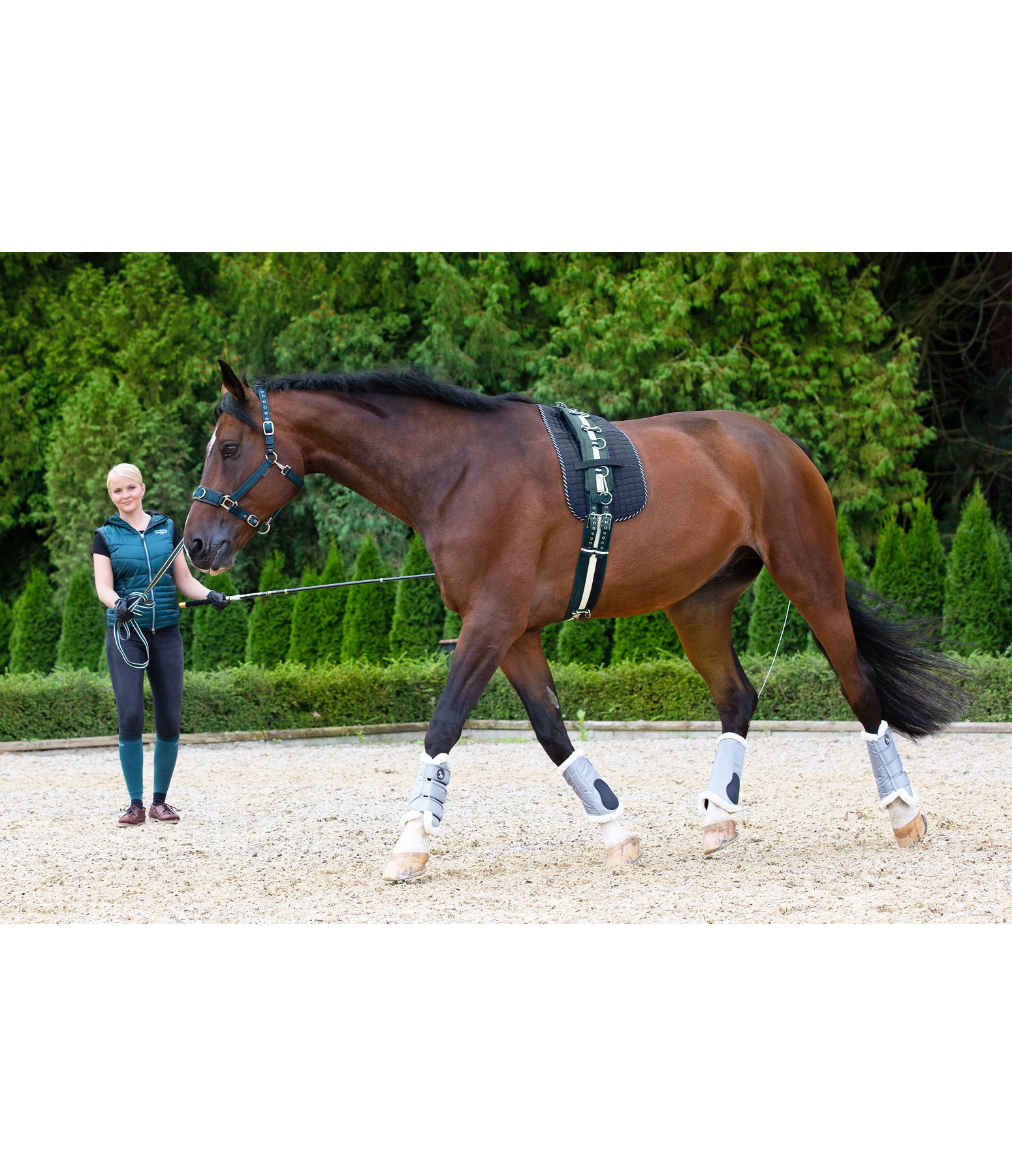 Lunge Roller Comfort - Lungeing - Kramer Equestrian