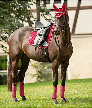 Kramer Equestrian | Riding Accessories and Equestrian Products