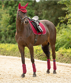 Kramer Equestrian | Riding Accessories and Equestrian Products