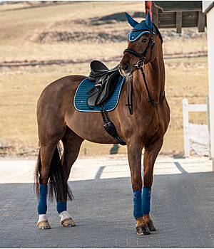 Kramer Equestrian | Riding Accessories and Equestrian Products