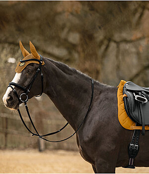 Kramer Equestrian | Riding Accessories and Equestrian Products