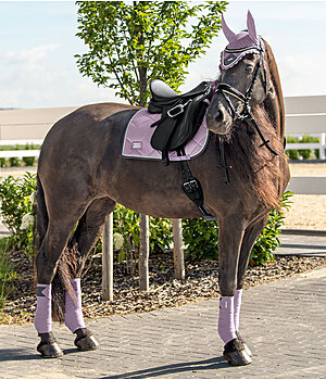 Kramer Equestrian | Riding Accessories and Equestrian Products