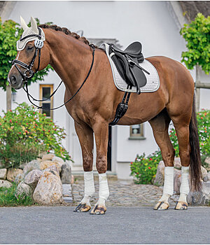 Kramer Equestrian | Riding Accessories and Equestrian Products