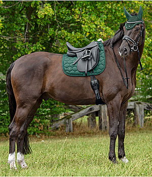 Kramer Equestrian | Riding Accessories and Equestrian Products