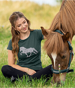 Kramer Equestrian | Riding Accessories and Equestrian Products