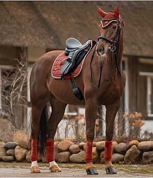 Kramer Equestrian | Riding Accessories and Equestrian Products