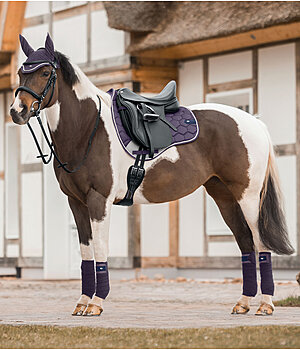 Kramer Equestrian | Riding Accessories and Equestrian Products